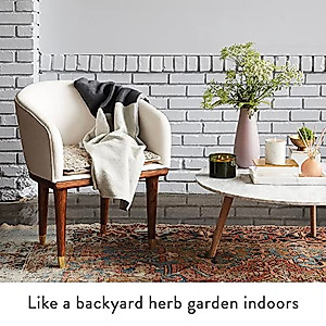 Fresh-Cut Basil Poured Candle