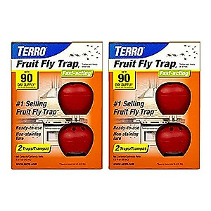 TERRO T2503SR Ready-to-Use Indoor Fruit Fly Killer and Trap with Built in Window - 4 Traps + 180 day Lure Supply