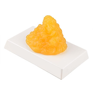 Human Body Fat Replica 1 lb with Display Base, Keep Fit & Weight Loss Motivation & Reminder, Human Fatty Tissue Demonstration Model for Nutritionist