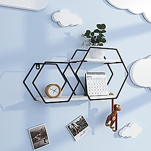 AIJADESK Wall Metal Wall Shelf Geometric Floating Shelves Decorate, Siamese Creative Classic Element Design Hexagon Floating Shelves, for Plant Display, Home Decoration Farmhouse Wall Shelf Exhibit.