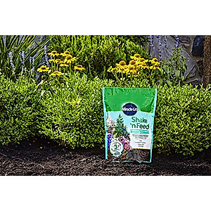 Miracle-Gro Shake 'N Feed Flowering Trees and Shrubs Plant Food