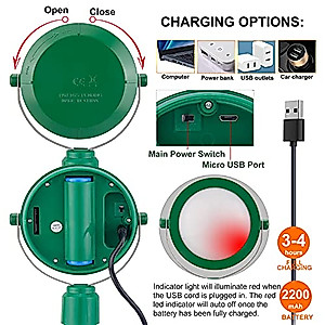 BIGMONAT Landscape Light USB Rechargeable, Color Changing Tree Spotlight Outdoor, RGB Garden Plant Lighting with Remote, Waterproof Ground Light for Patio Yard Pathway