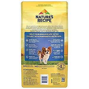 Nature's Recipe Grain Free Small Breed Dry Dog Food, Chicken, Sweet Potato & Pumpkin Recipe, 4 Pounds, Easy to Digest (Package May Vary)
