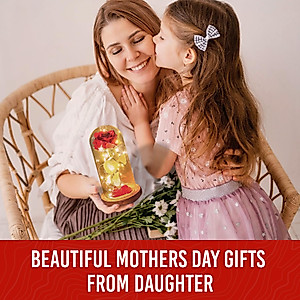 Norcalway Rose in Glass Dome with 6hr Timer - Beauty and The Beast Rose Decor in a Glass Dome for decorations-Premium Gift for anyone