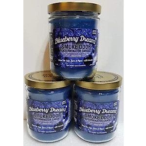 Smoke Odor Exterminator 13 oz Jar Candles Blueberry Dreamz, Set of Three Candles