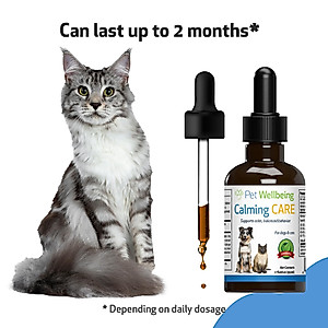 Pet Wellbeing Calming Care for Cats - Vet-Formulated - Supports Calm & Relaxed Nervous System - Natural Herbal Supplement 2 oz (59 ml)