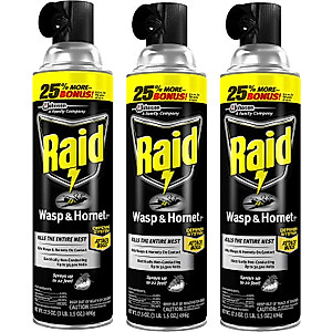 Raid Wasp & Hornet Killer Spray, 17.5 OZ (3 Pack)