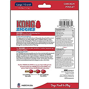 KONG - Ziggies - Teeth Cleaning Dog Treats for KONG Classic Rubber Toys - Chicken Flavor for Large Dogs (8 Ounce)