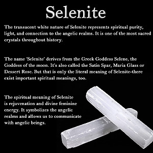 SOUL STICKS Beginners Mini Smudge Kit Includes White Sage 3-4 Abalone Shell Selenite Wand and Palo Santo with Smudging Guide