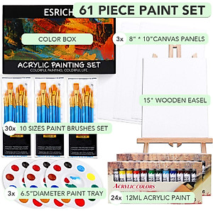 Acrylic Painting Set with 1 Wooden Easel 3 Canvas Panels30 pcs Nylon Hair Brushes 3 PCS Paint Plates and 2 PCS of 12ml Acrylic Paint in 12 Colors for Acrylic Painting Artist Professional Kit