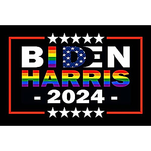 10 Pack Biden Harris 2024 Rainbow Flag Gay Pride LGBT Democrat Stickers Laptop Bumper Decal Window Waterproof Car Stickers