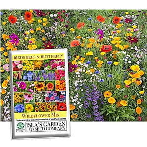 Birds, Bees, and Butterflies Mix Flower Seeds, 500+ Seeds Per Packet, Variety of Wildflowers! (Isla's Garden Seeds), Non GMO & Heirloom Seeds, Great Flower Mix for Home Garden Landscape