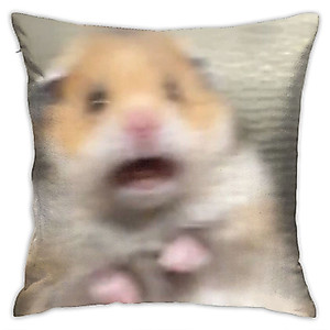 Scared Hamster Cute Throw Pillow Covers Novelty Square Pillow case Home Decorative Bedroom Couch Sofa Cushion case 18x18 in