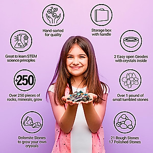 DANCING BEAR Rock, Mineral & Geodes Treasure Hunt Activity Kit (250 Pc Set) Real Shark Teeth Fossils, ID Sheet & Rock Book, STEM