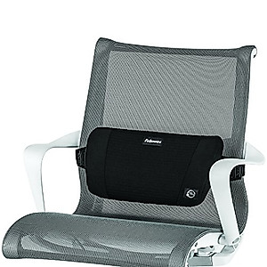 Fellowes Lower Lumbar Back Rest (8026301)