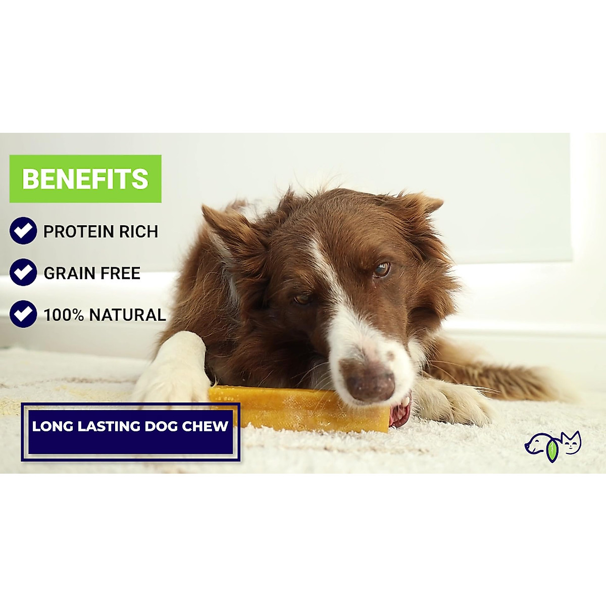 a petter way Himalayan Yak Chews, Natural Dog Treats, Limited Ingredients, 68 Grams of Protein, raw-Hide Alternative, Large Dog Chews for Aggressive chewers (Cheese)