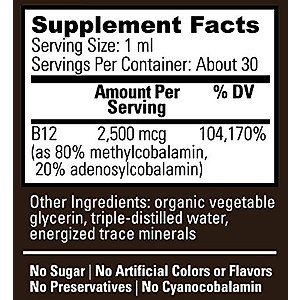 Global Healing Center Vegansafe B12, 2500 mcg Organic Sublingual Liquid Vitamin B12 Drops | 2-in-1 Methylcobalamin & Adenosylcobalamin Blend for Energy, Mood, and Heart Health, 30-Day Supply (1 Fl Oz)