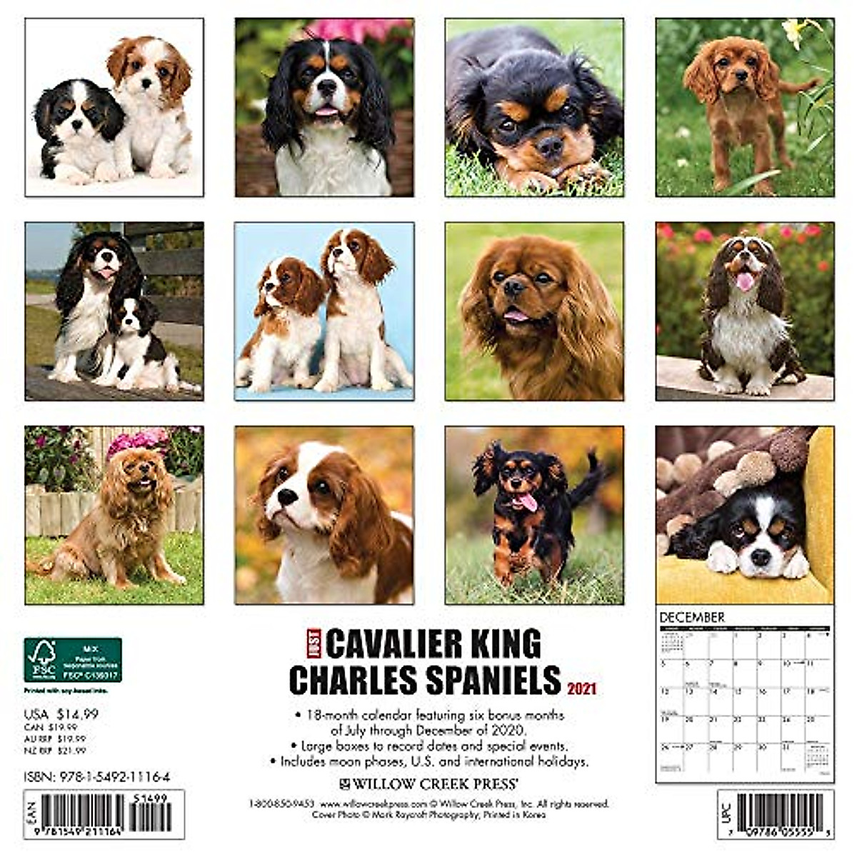 Just Cavalier King Charles Spaniels 2021 Wall Calendar (Dog Breed Calendar)
