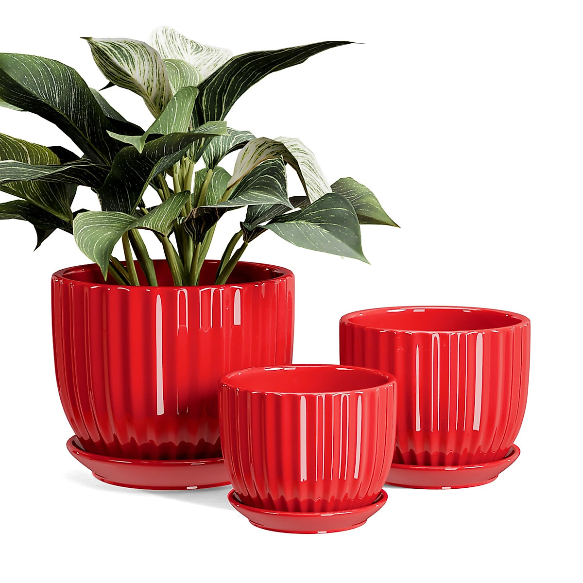Ton Sin Ceramic Plant Pots - 4/5/6 Inch Red Planters Set of 3 with Drainage Holes and Saucer - Indoor Flower Pots for Plants Ceramic Planters for Indoor Gardening Succulent Pots