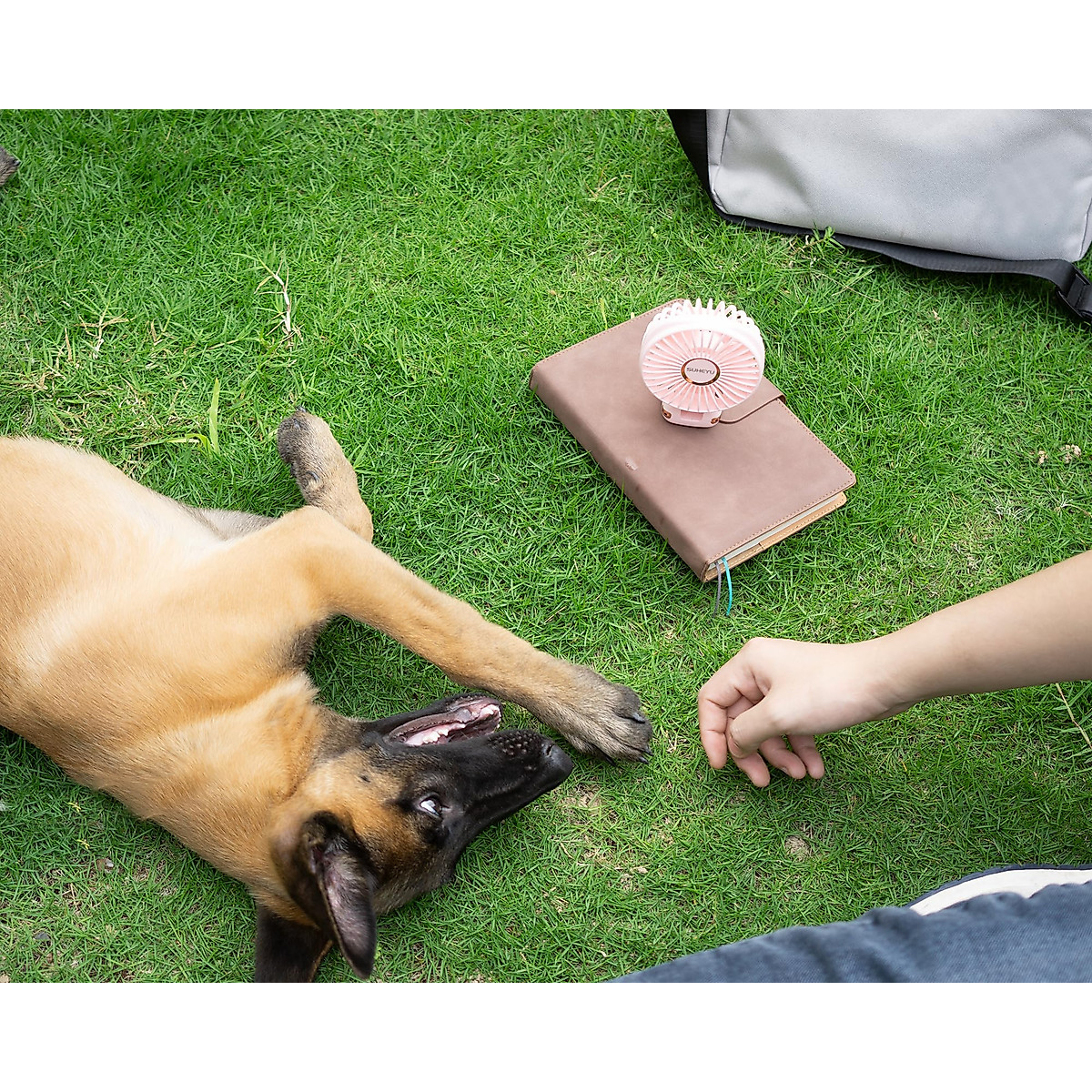 Handheld Fan, Portable Mini Fan in 5 Speeds Adjustable, Personal Fan Digital Display, USB Rechargable Small Fan with Base for Indoor Office Outdoor Home Travel (Blue)