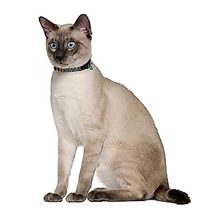 Cat Collar Breakaway 2PCS Adjustable Pattern Tribal Aztec Southwest Safety Pet Collars for Cats Kitten (Tribal + Southwest)