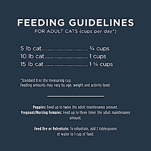 Instinct Freeze Dried Raw Meals Grain Free Recipe Cat Food 9.5 Ounce (Pack of 1)