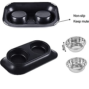 Raised Cat Bowl Pet Bowl,Stainless Steel Elevated Small Dog Bowls,15°Tilted Whisker Reliefs Fatigue Free Stress Anti Vomiting Cat Food Water Bowls,Non Slip Cat Feeding Bowls（Double Bowl）