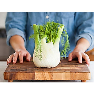 Gaea's Blessing Seeds - Fennel Seeds (2.0g) - Non-GMO Seeds with Easy to Follow Planting Instructions - Herb Seeds 85% Germination Rate