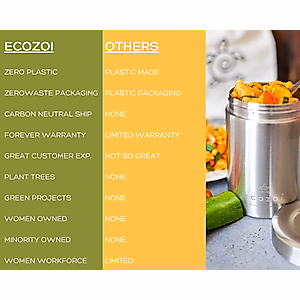 ecozoi Stainless Steel Insulated Lunch Box, Food Jar - Vacuum Insulated Thermos, 17 Oz + Spork + Lunch Bag