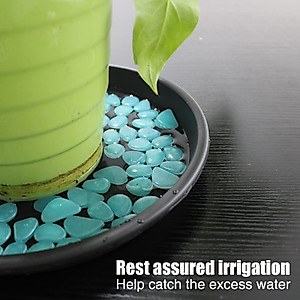 ZUNTENG Black Plastic Plant Saucer, 3pcs Plant Tray,12inch Flower Plant Pot Saucer for Indoor and Outdoor