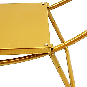 Dia 31.5in Double Ring Wedding Cake Stand Flower Stand Arch Rack,Metal Round Floral Hoop Cake Holder,Dessert Cupcake Display Stand for Wedding Birthday Party Decor Outdoor Garden (Gold)