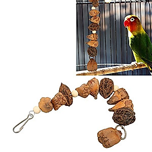 Nuts Chew Toy, Bird Chew Toys, Parrot Toys Grinding Mouth Bite Resistance Logs Natural Nuts Hanging Parrot Chew Toys Bird Toys for Parrots Budgies Macaws