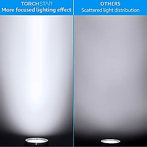 LEONLITE 30W LED Bullet Flood Light, 4000LM 5000K Daylight, 22°Focused Flag Pole Light with Knuckle Mount, Weatherproof, 100-277V Commercial Landscape Light, UL-Listed