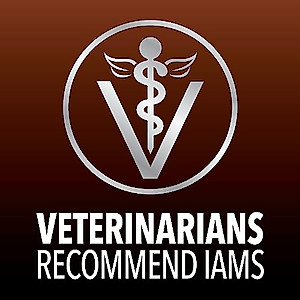 IAMS Advanced Health Healthy Digestion Turkey and Chicken Recipe Adult Dry Cat Food, 7 lb. Bag