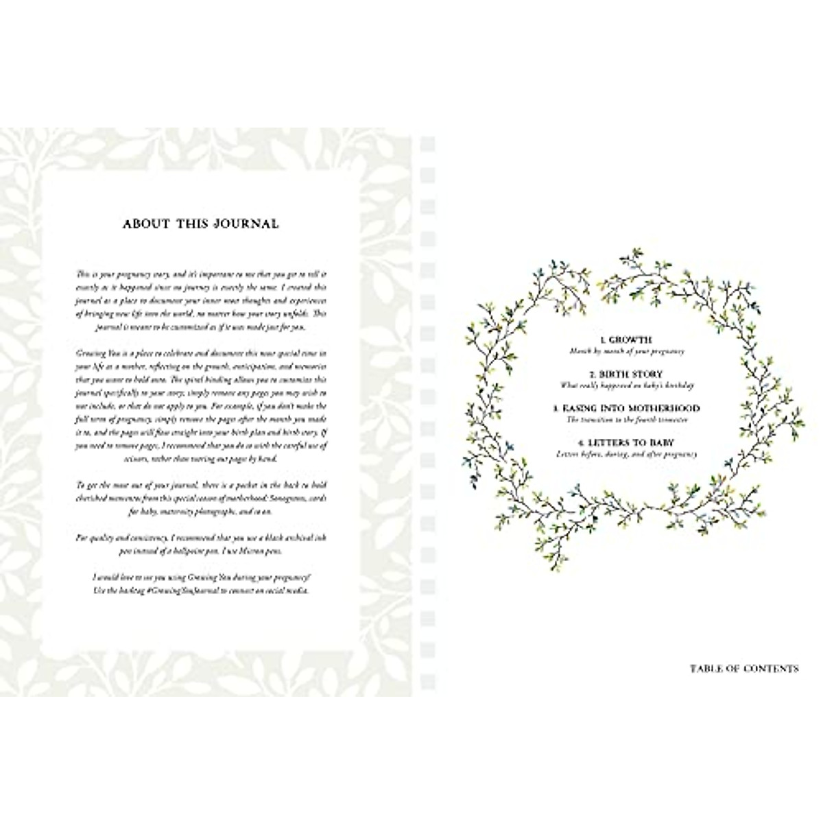 Growing You: Keepsake Pregnancy Journal and Memory Book for Mom and Baby (Heirloom Story Books and Guided Journals)