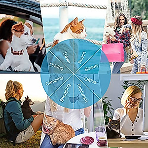 Siivton Airline Approved Pet Carrier, Soft Sided Pet Travel Carrier 4 Sides Expandable Cat Carrier with Fleece Pad for Cats, Puppy and Small Dogs