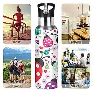 KEEPREAL Ladybug Water Bottle with Straw, 22 OZ Sports Water Bottle BPA Free Stainless Steel Water Jugs for Gym, Travel, Working, Outdoor