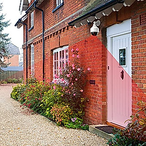 WALI Dummy Fake Security Dome Camera with 1 Flashing Red LED Light and Security Alert Sticker Decal, Indoor Outdoor Use (DOW-1), White