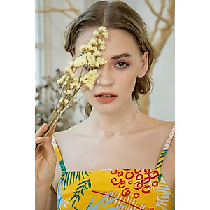 Lovve Sterling Silver Round 4mm Bezel-Set Cubic Zirconia Solitaire Tiny Short Thin Choker Necklace for Women w/Extender