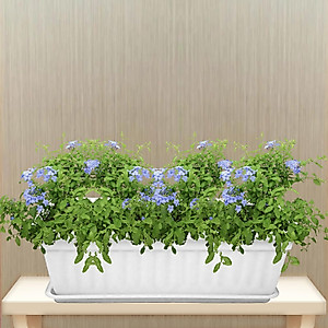 Niiiice 8 Packs 17 Inch White Plastic Flower Window Box Vegetable Planters with Trays, Rectangular Planter Planters with 10 Pcs Plant Labels (White)…