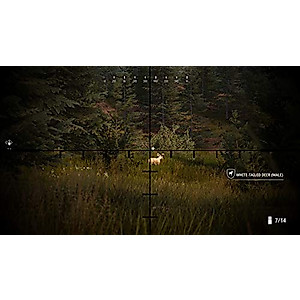 Hunting Simulator 2 (PS4) - PlayStation 4
