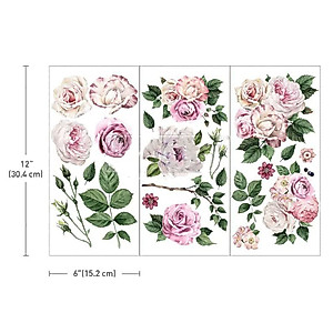 Delicate Roses Rub On Transfer Cute, Beautiful Home Decor Transfers Redesign with Prima, Cute Furniture and Craft Decals, Includes 3 Sheets (3 Unique Designs)