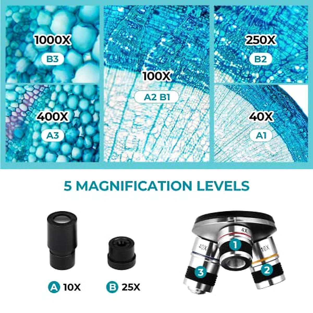 Tuword Microscopes for Kids Students Adults, 40X-1000X Optical Glass Lenses Microscope for School Home, Cordless LED Student Biological Compound Microscope with Microscope Slides, Phone Adaptor