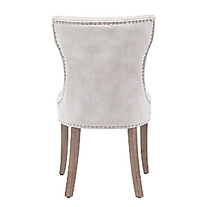 Creek Vista Tufted Velvet Dining Chairs, Upholstered Fabric Dining Room Chairs with Nailhead Trim, Stylish Kitchen Dining Room Chairs with Wood Legs for Living Dining Room, Beige