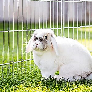 Whonline 270pcs 6 Inch Landscape Staples Set, 240pcs Ground Stakes and 30pcs Gasket, 11 Gauge Galvanized Garden Stakes for Weed Barrier Irrigation Tubing Garden Decor