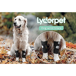 Lyderpet Dog Leg Brace Front Wrist or Carpal Support for Canine Dogs, Brace Compression Wraps with Metal Splints, Prevents Ankle Injuries&Sprains, Helps with Loss of Stability Caused by Arthritis