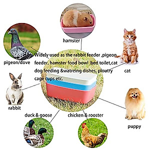 AMZSYLV Rabbit Feeder Waterer Chicken Guinea Pig Cage Bowl Food Water Hanging Watering Container Feeding Dish Coop Cup Treats Drinker for Pigeon Dove Puppy Cat Bird Bath Basin Hamster Bed (Pack of 3)