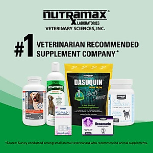 Nutramax Welactin Omega-3 Fish Oil Skin and Coat Health Supplement Liquid for Dogs - 16 Ounce 3 Pack