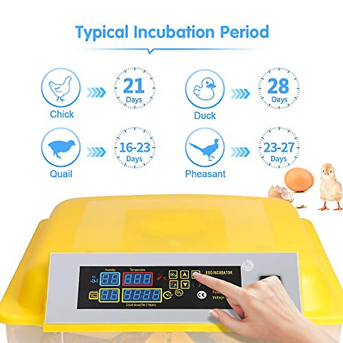 Egg Incubator 48 Eggs Fully Automatic Digital Poultry Incubator with Fahrenheit Temperature and Auto Turning for Hatching Chicken Duck Goose Quail Bird, Egg Hatcher Breeder Incubator Gift Set for Kids