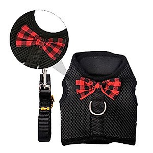 Mipcase 1 Set Harness Rope Breathable of Supplies Guinea Chinchilla Type Training M Pet Walking Animal Harnesses Puppy Straps Cat Chest Back Leash Squirrel Rabbit Strap Small for Outdoor